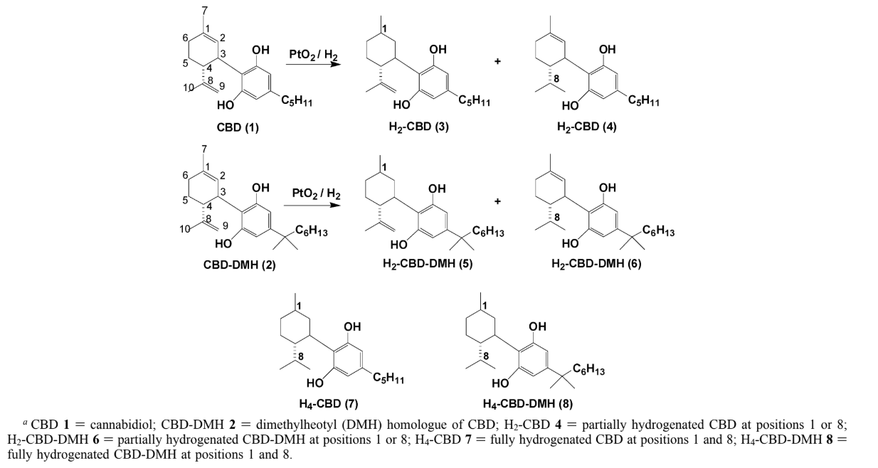 Committee Blog: Cannabinoid Analogues Offer a Promising Future for ...