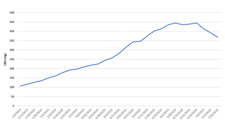 Member Blog: Hemp And CBD Consumer Insights - Who, Why, And How