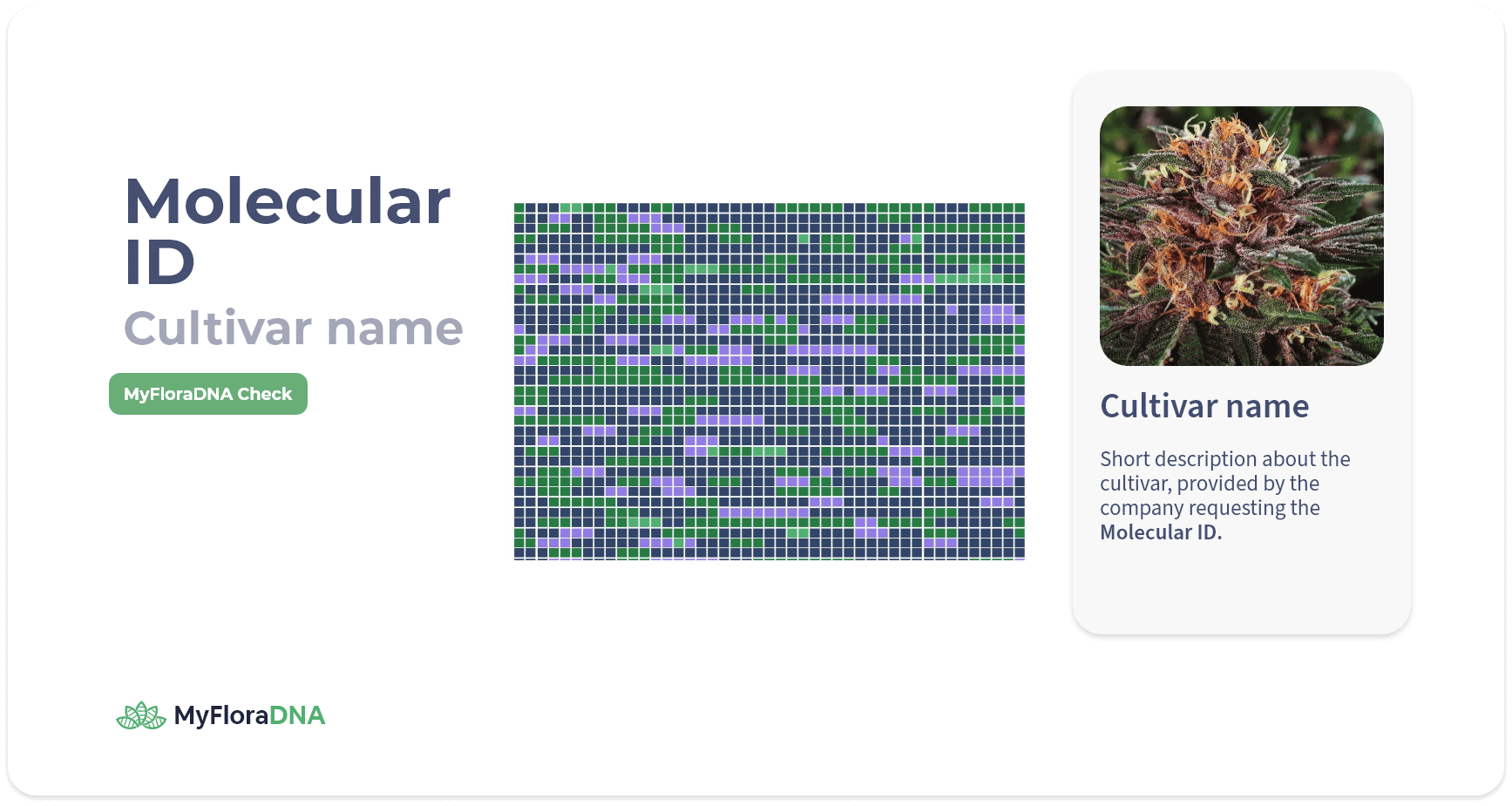 Member Blog: Genetics Validation – Certified Growers and Cultivar ...