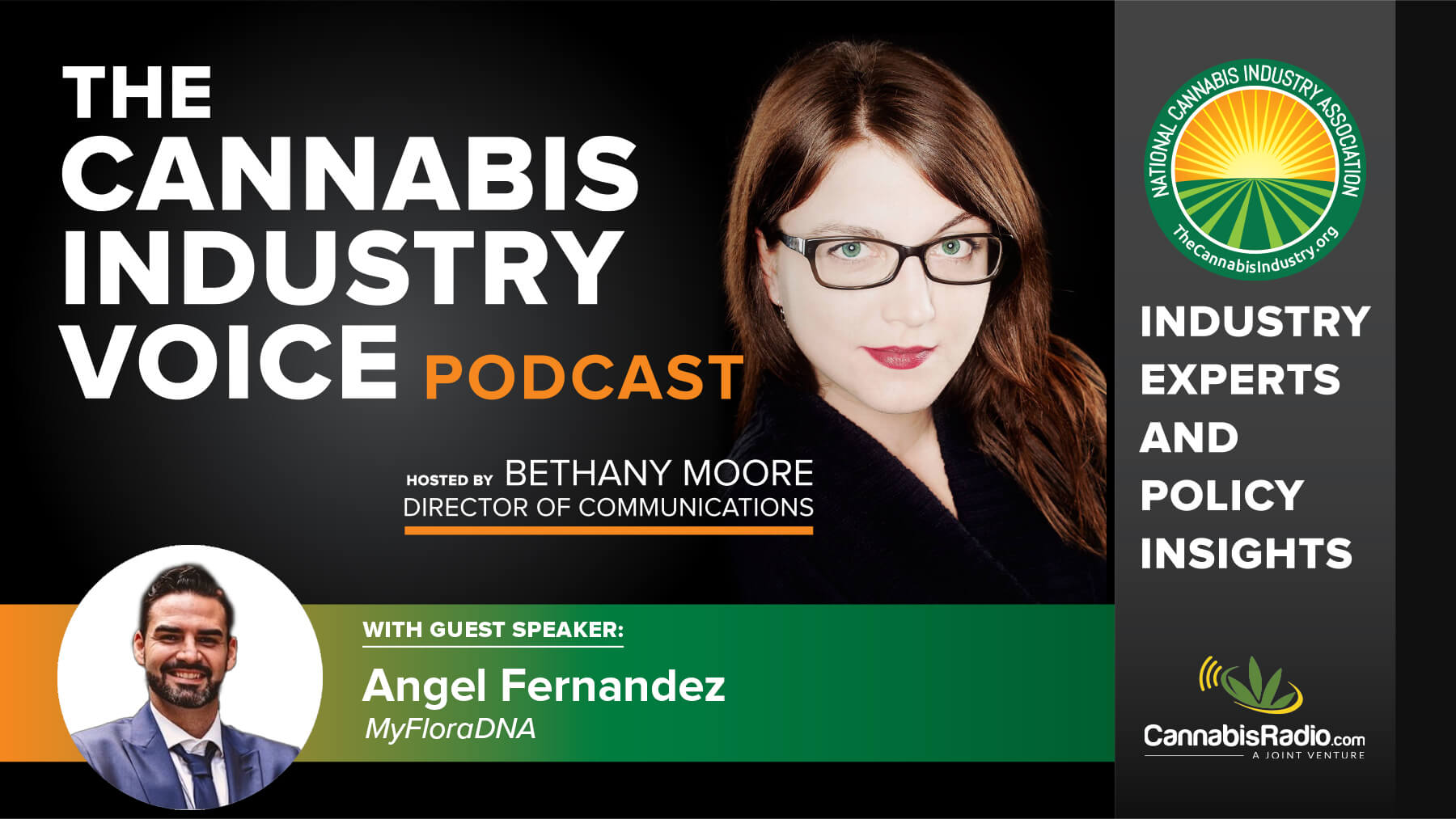 Under The Microscope: Cannabis Plant Genetics | The National Cannabis ...